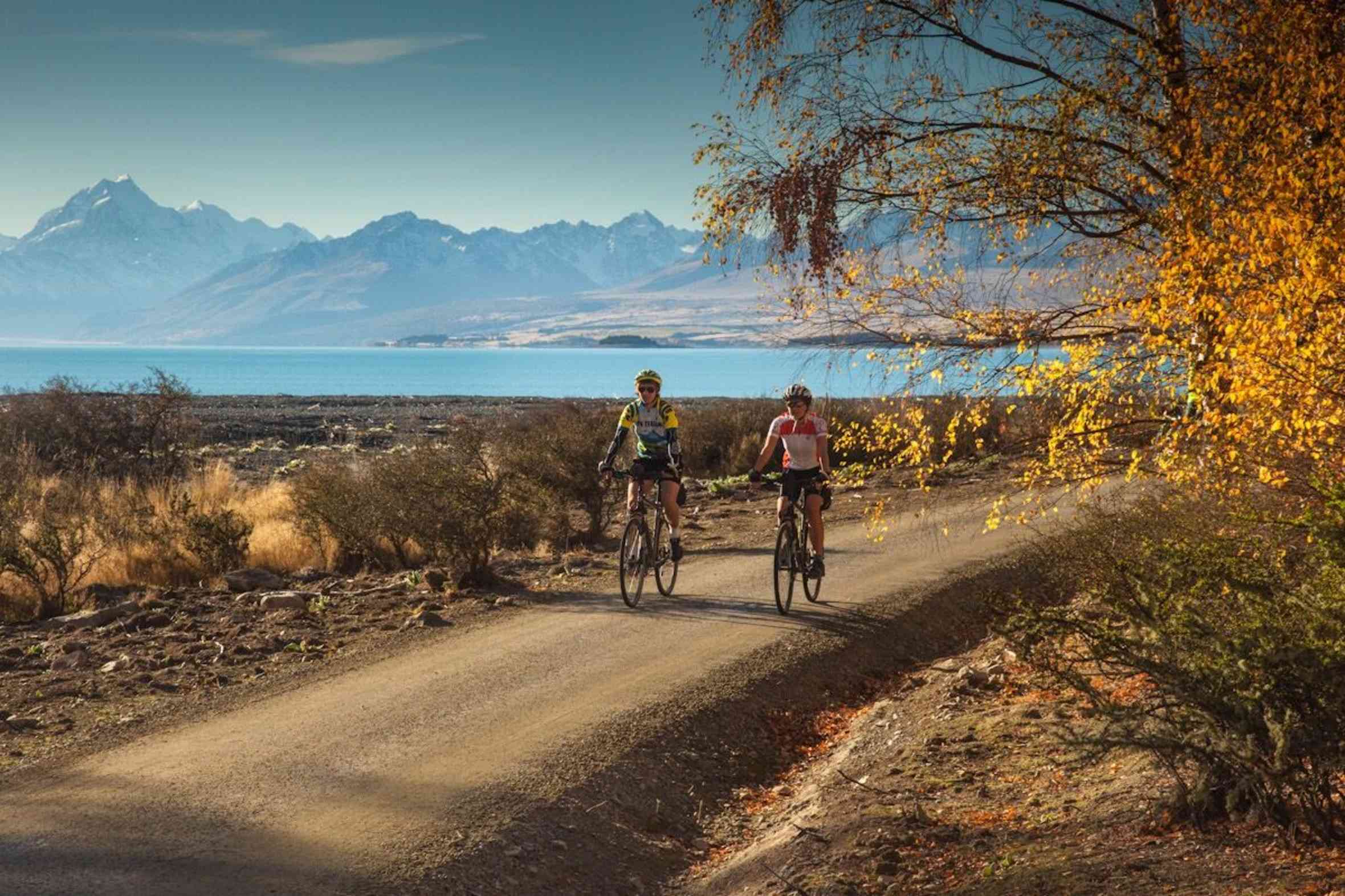 8 Best Multi-Day Cycling Tours in New Zealand | Roar Adventures