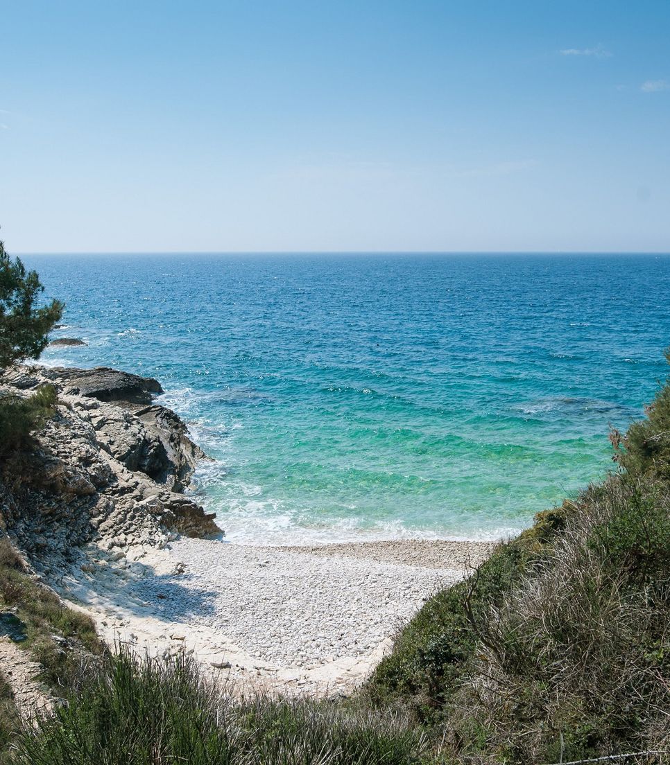 Highlights of Istria MTB | Roar Adventures
