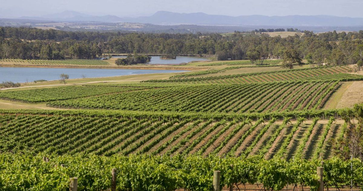 Hunter Valley Explorer Self Guided Cycle | Roar Adventures