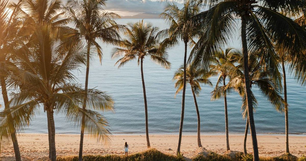 Rainforest and Magnetic Island Cycle | Roar Adventures