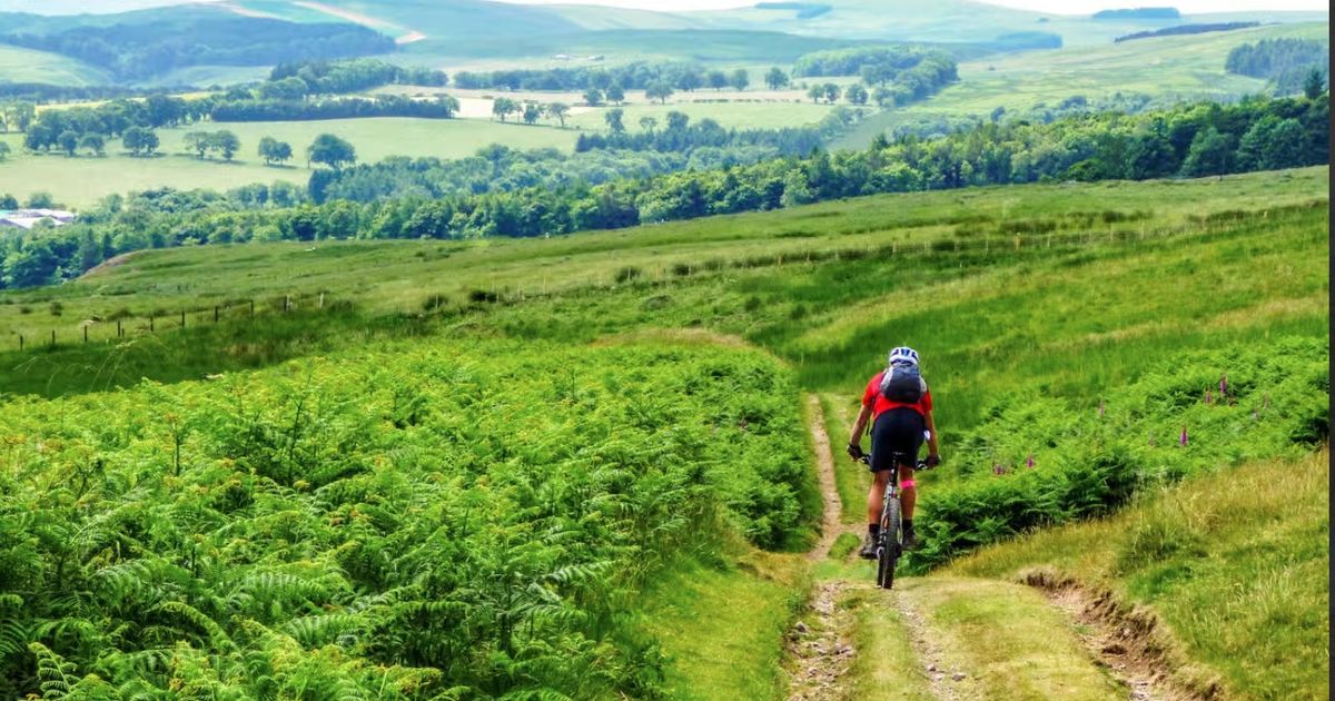 Northumberland Cycle Tour - Sandstone Way | Roar Adventures