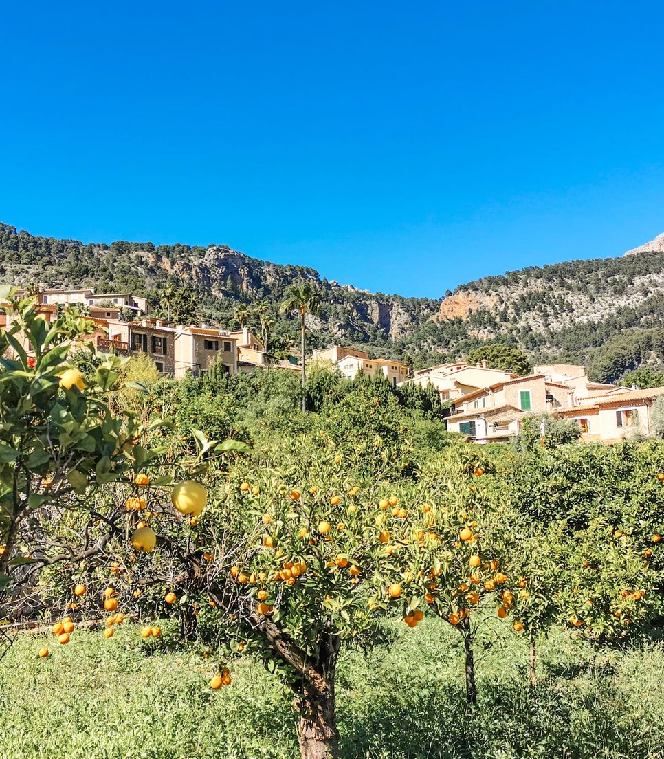 Mallorca Loop Tour | Roar Adventures