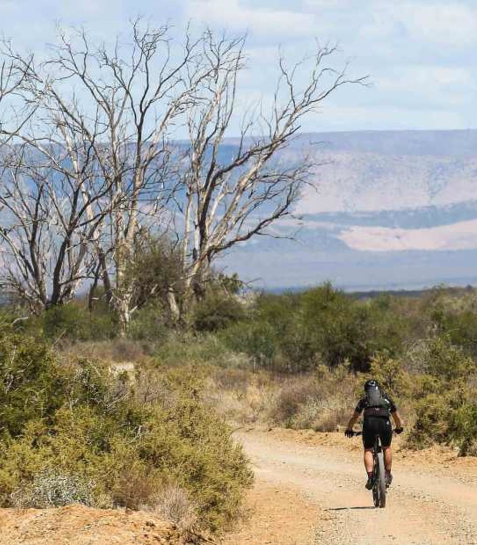 Garden Route Adventure Bike Tour | Roar Adventures