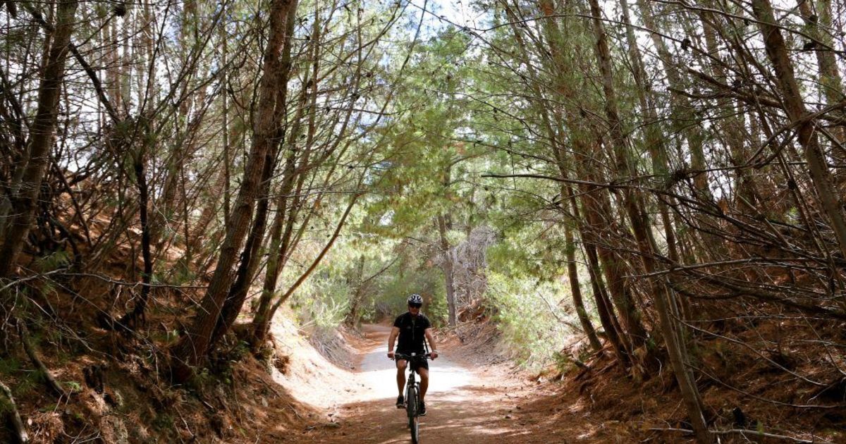 Tour de Riesling Rail Trail: Cycling Clare Valley | Roar Adventures